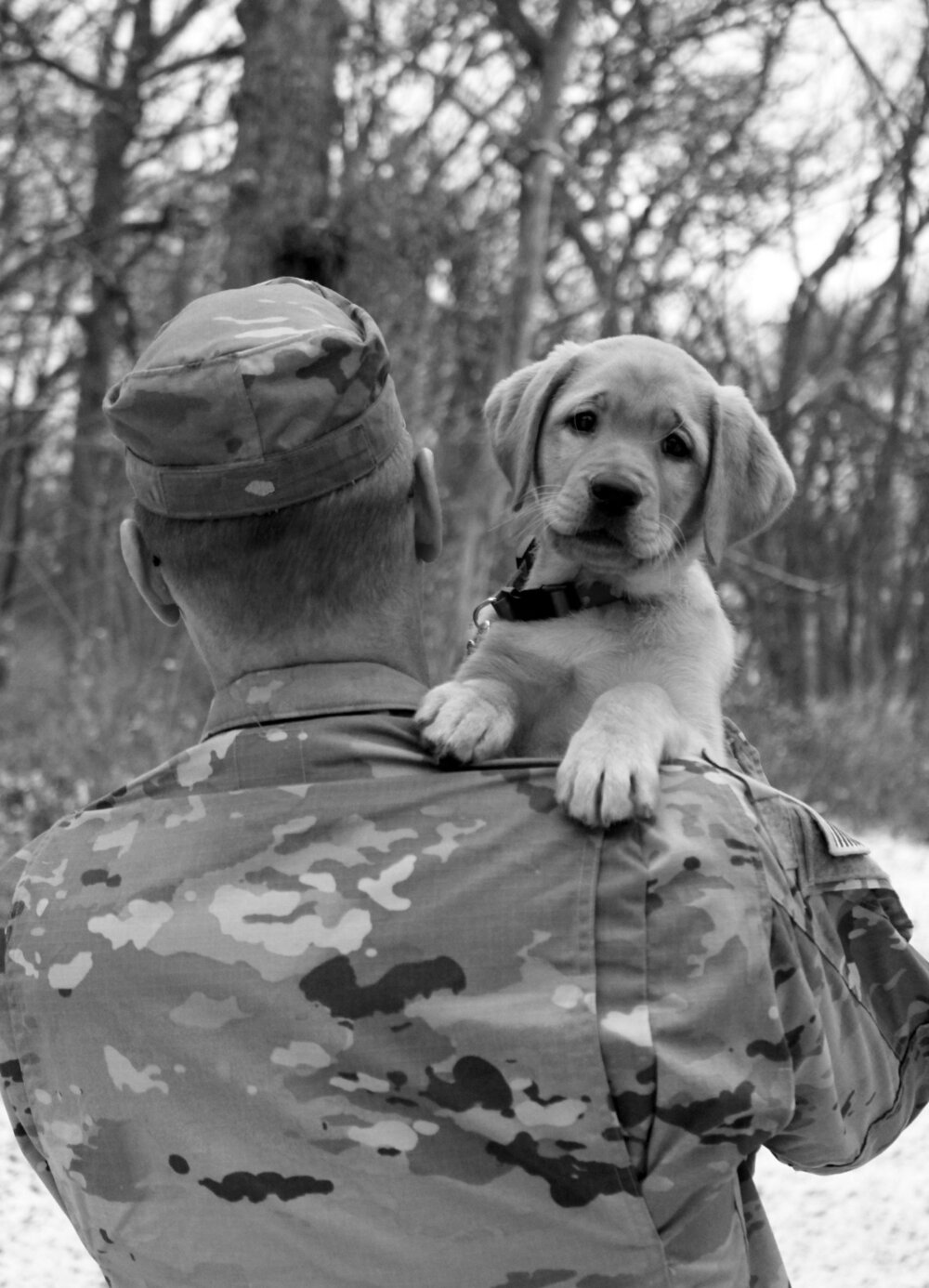 MFLCares Gives Back to IOWA Service Dogs - Midwest Family Lending ...